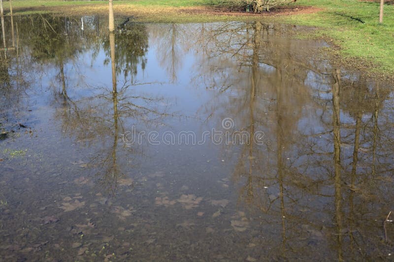 Large puddle in a lawn stock image. Image of landscape - 364771617