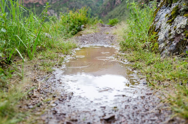 A Large Puddle in the Mountain during the Rain. Drops and Circles on ...