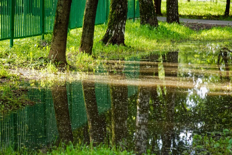 A Large Puddle in the Park Next To the Path Stock Image - Image of ...