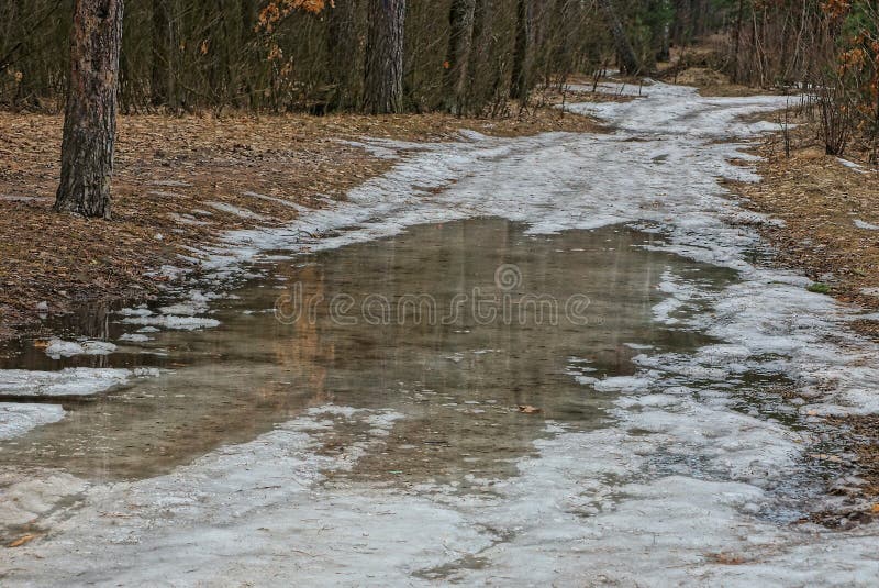 A Large Puddle of Water on White Ice and Snow Stock Image - Image of ...