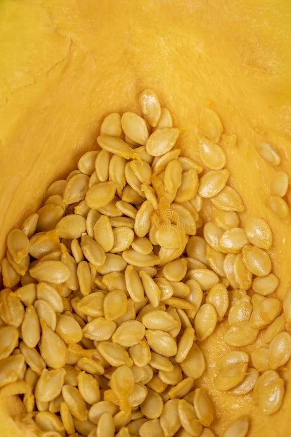 Large Pumpkin Seeds Inside Pumpkin Pulp, Close Up, Side View Stock ...