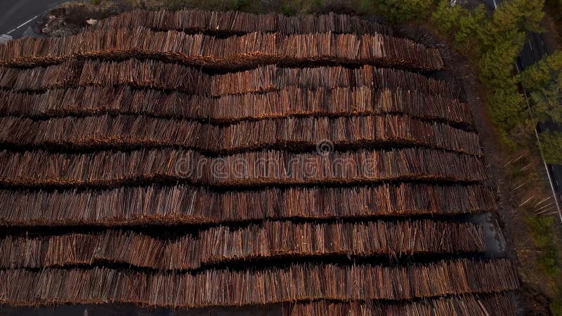 Large Quantity of Cut Lumber Forming an Abstract Pattern at Paper Mill ...