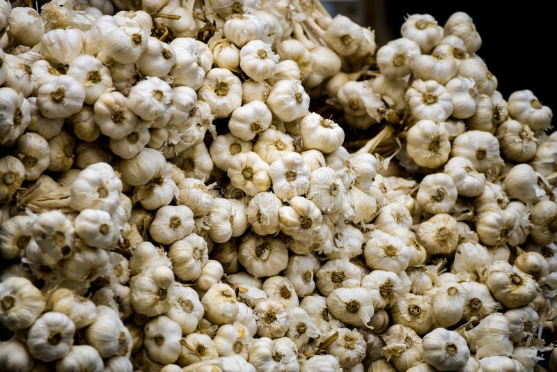 The Natural Texture of Garlic Stock Image - Image of healthy, bulb ...