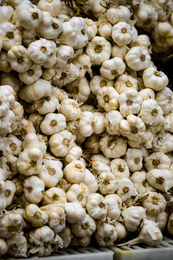 The Natural Texture of Garlic Stock Photo - Image of roots, natural ...