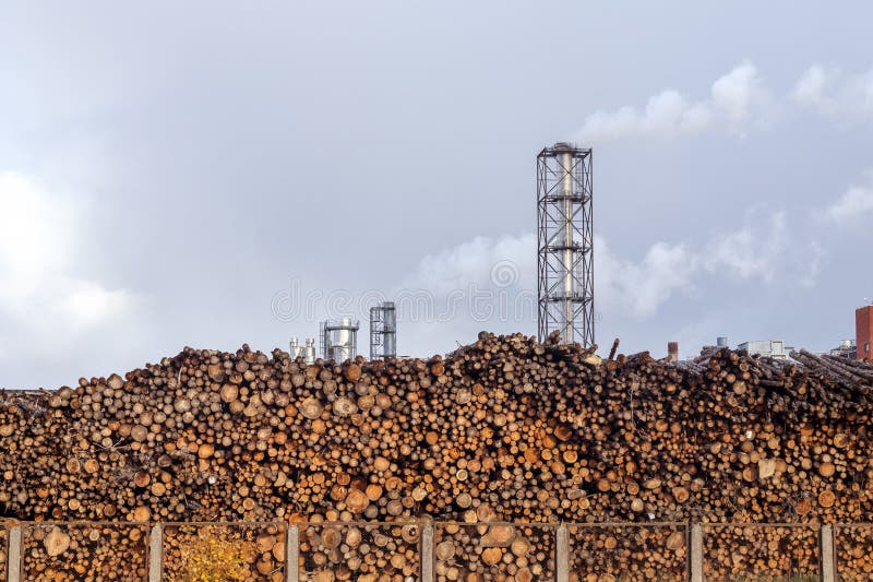.a Large Quantity of Round Logs Piled Up in a Pile, but in the ...