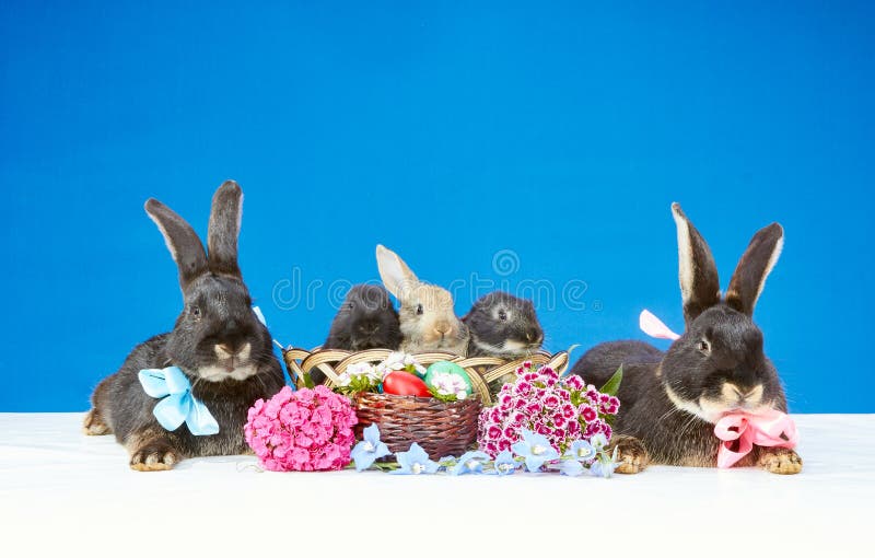 Large Rabbits with Bows and Little Rabbits in a Basket Near the Flowers ...