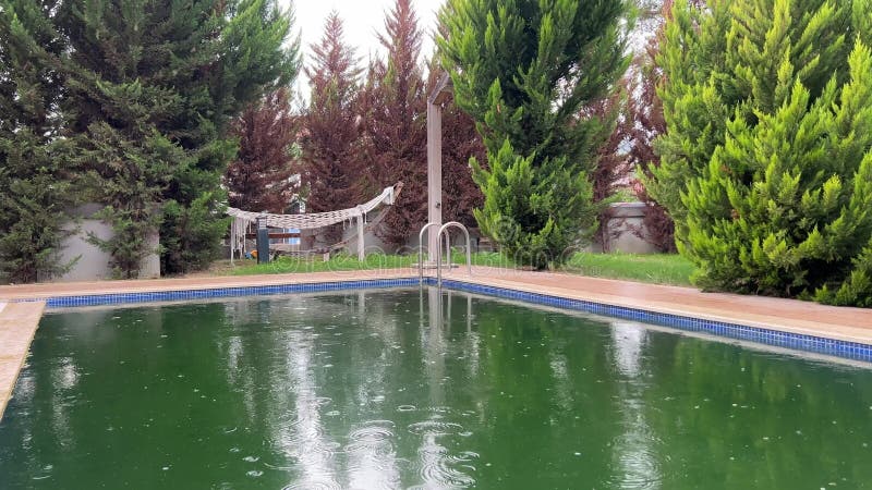 Large Raindrops Fall into the Pool and Leave Circles on the Water Stock ...