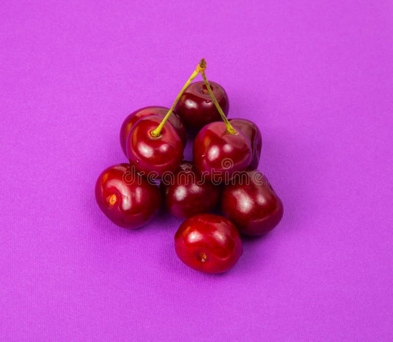 Large red cherry stock photo. Image of large, berries - 96013958