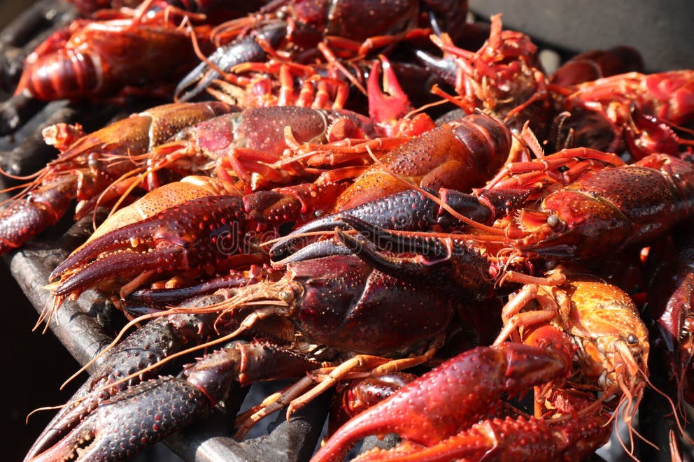 Large Red Crayfish Cooked on the Grill, Close-up Stock Photo - Image of ...