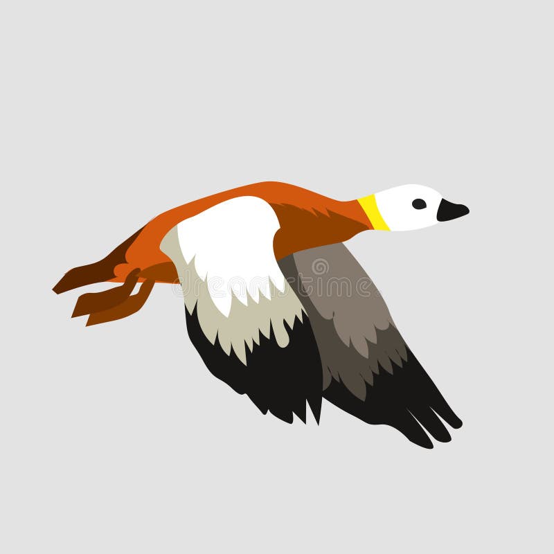 Large Red Duck Flies with Wings Down Stock Vector - Illustration of ...