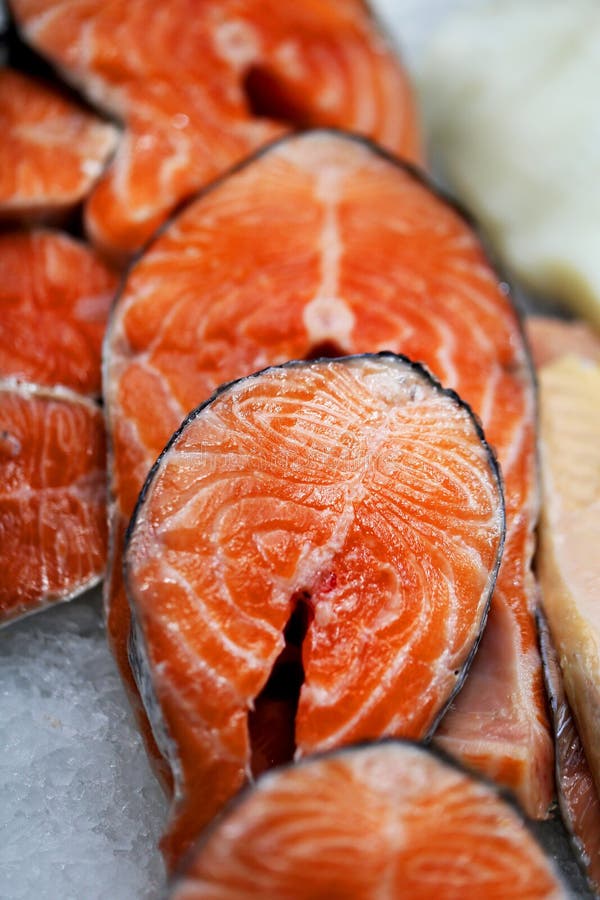 Large red fish salmon stock photo. Image of multicolored - 88665590