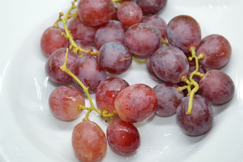 Large Red Grapes on a Plate Stock Photo - Image of purple, blue: 237179112