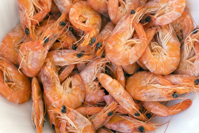 Large Red Mediterranean Shrimp Cooked for Dinner Stock Photo - Image of ...