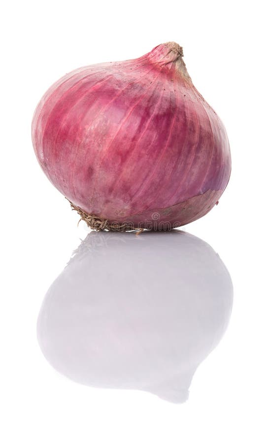 Large Red Onion VIII stock image. Image of tuber, bulb - 57233955
