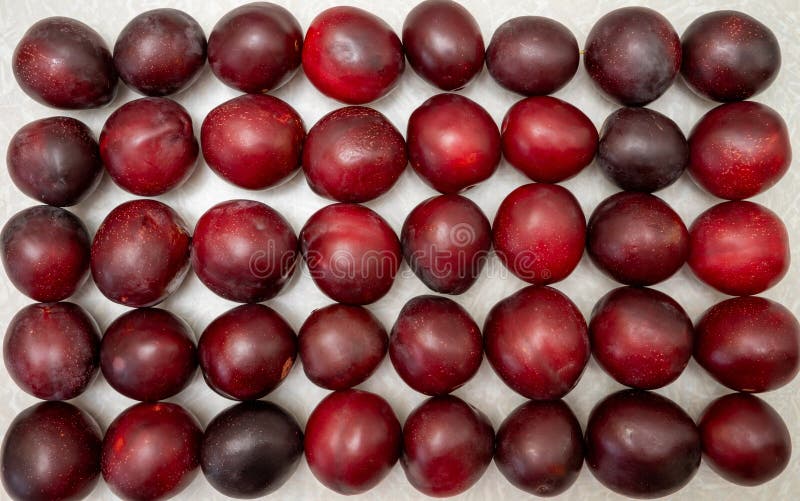 Large Red Plums Stacked in Rows Stock Photo - Image of plum, garden ...