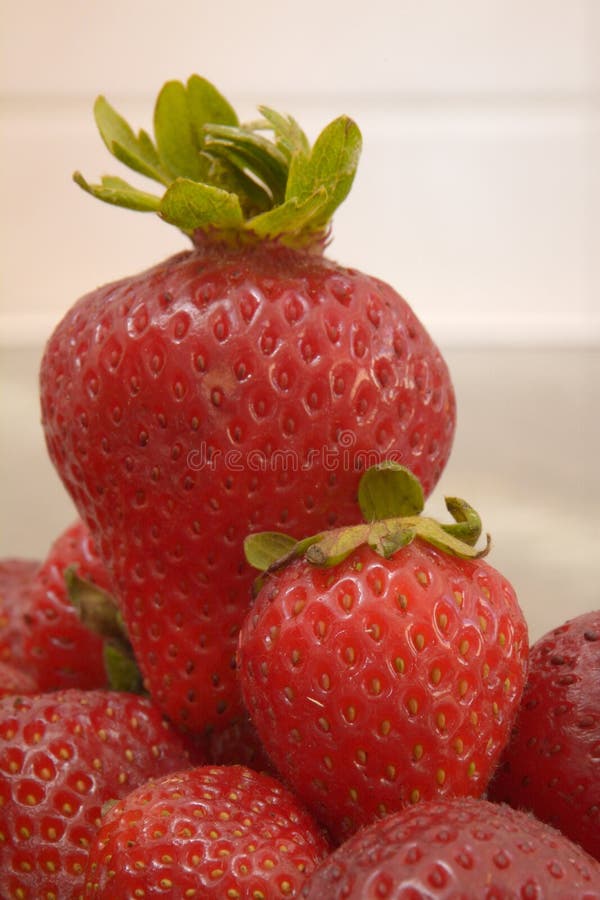 Large red strawberries stock image. Image of fruit, juicy - 48554297