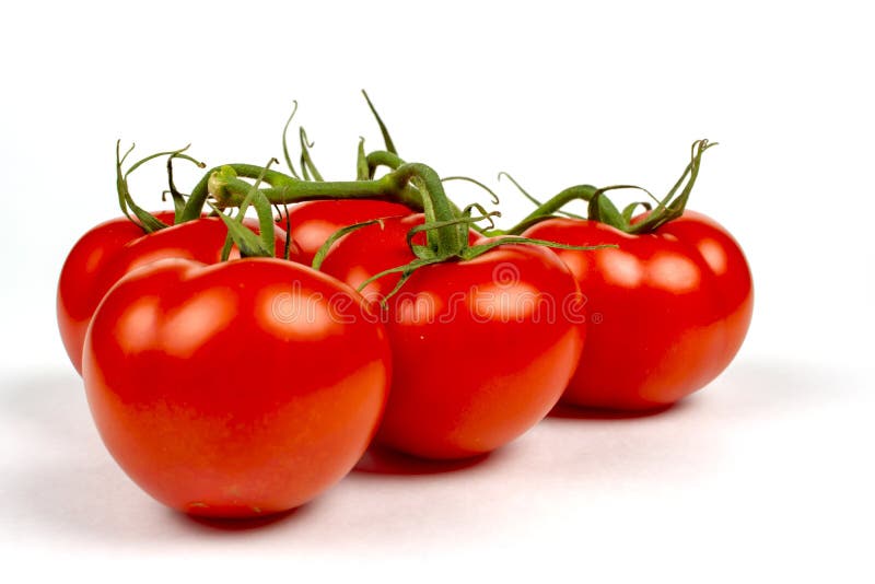Large Red Tomatoes on a Branch Close-up Stock Photo - Image of ...