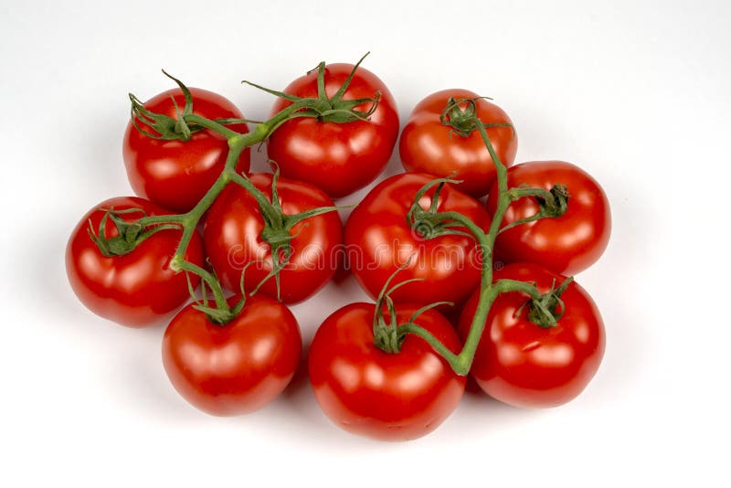 Large Red Tomatoes on a Branch Close-up Stock Image - Image of stem ...