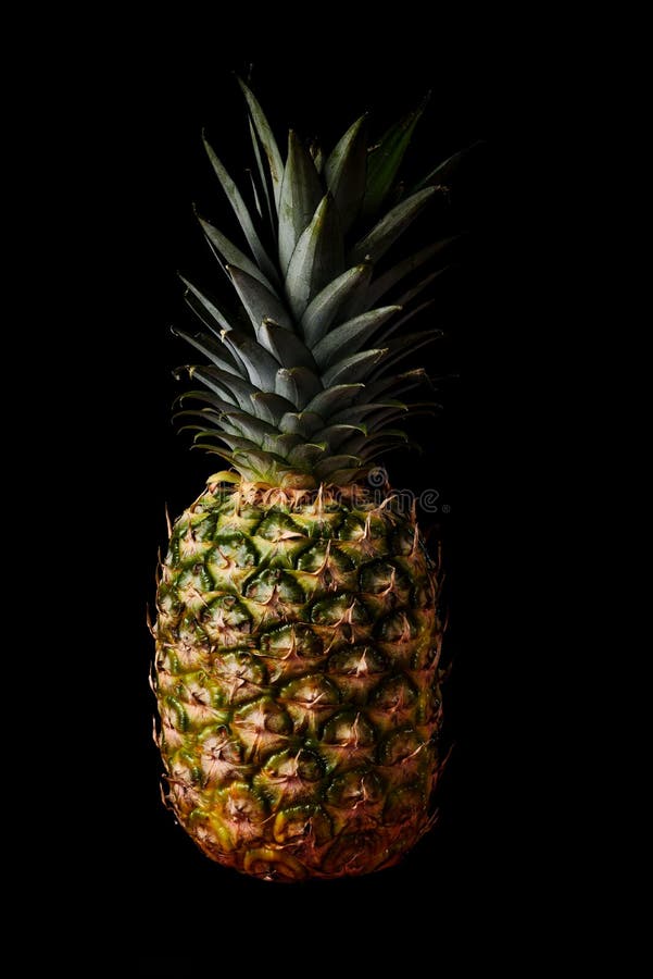 Large ripe pineapple stock photo. Image of healthy, pineapple - 81430306