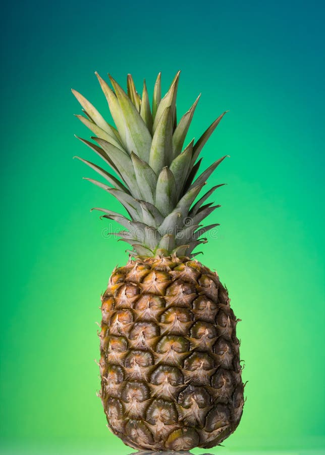Pineapple on the Stalk, Dole Plantation, Oahu Stock Image - Image of ...