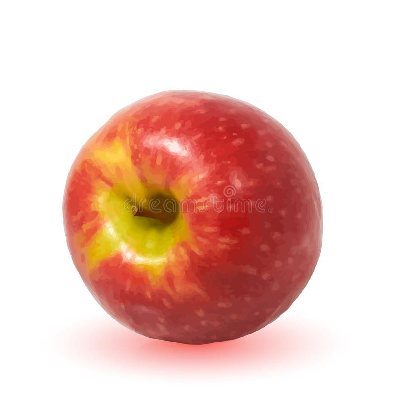 Large Ripe Red Apple with Handle Stock Photo - Image of apple ...