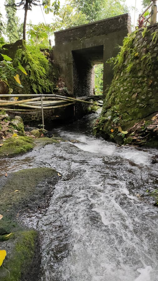 Large a River Flow in the Village of Lumbang Stock Image - Image of ...