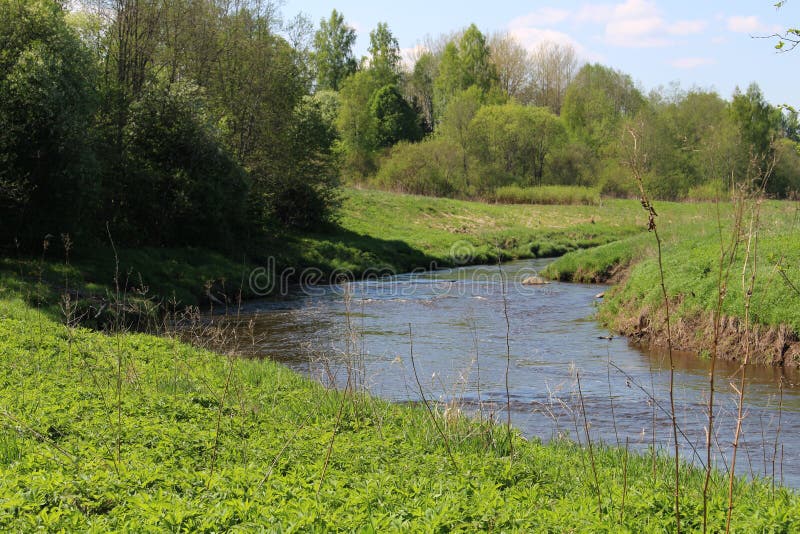 River in fields two stock image. Image of summer, outdoor - 117512251