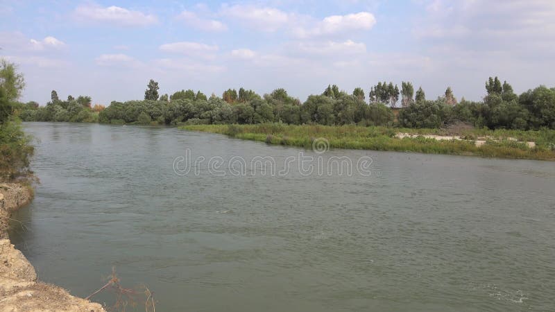 Large River Surrounded by Soil and Trees in Flat Plain Stock Video ...