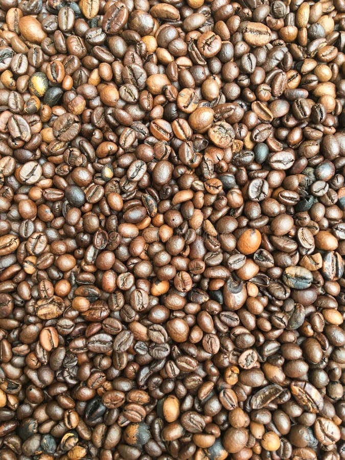 Large Roasted Coffee Grains, Background Texture from Coffee Beans Stock ...