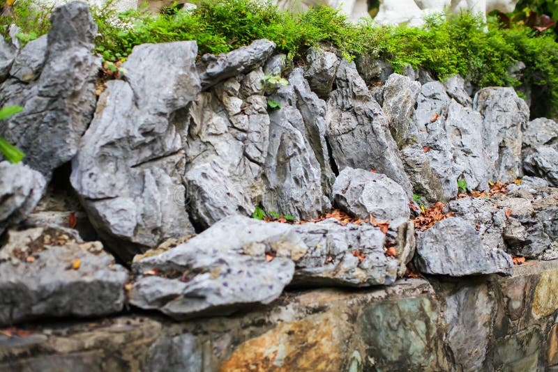 Large Rock or Boulder in with Colorful Plants in Park. Nature Rock Wall ...
