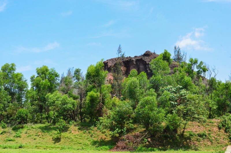 Large Rock Boulder in the Midst of Trees Stock Photo - Image of ...