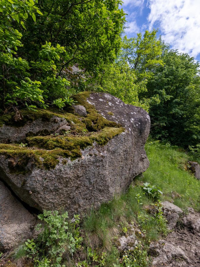 Rock Covered in Moss with White Background Behind it. Generative AI ...