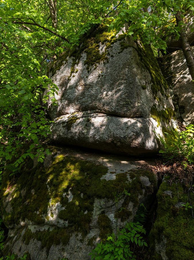 Rock Covered in Moss with White Background Behind it. Generative AI ...