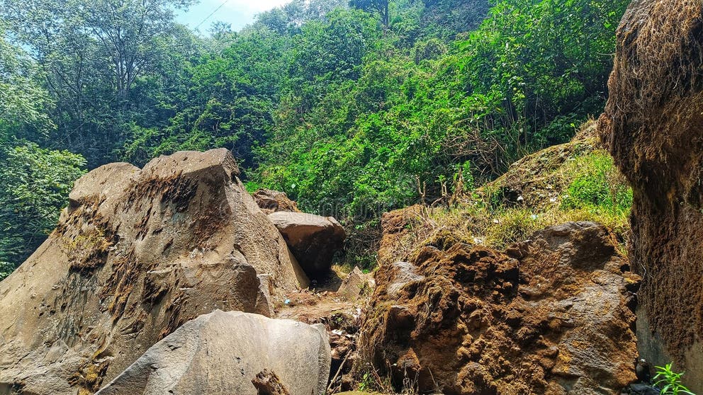 Large Rocks at the Edge of the Forest River Stock Image - Image of ...