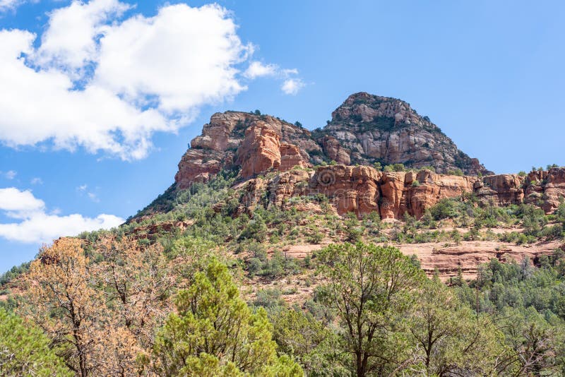 Large Rock and a Forest with Lots of Green Trees Stock Image - Image of ...