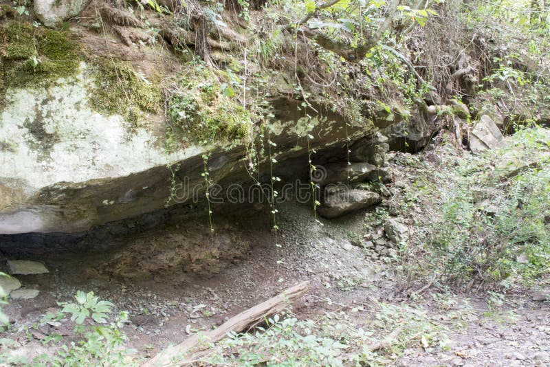 Rock overhang with vines stock photo. Image of plants - 125483488