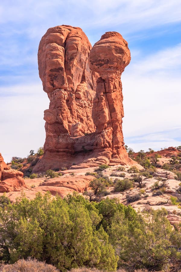 A Large Rock Formation with a Small Tree Growing Out of it Stock Image ...