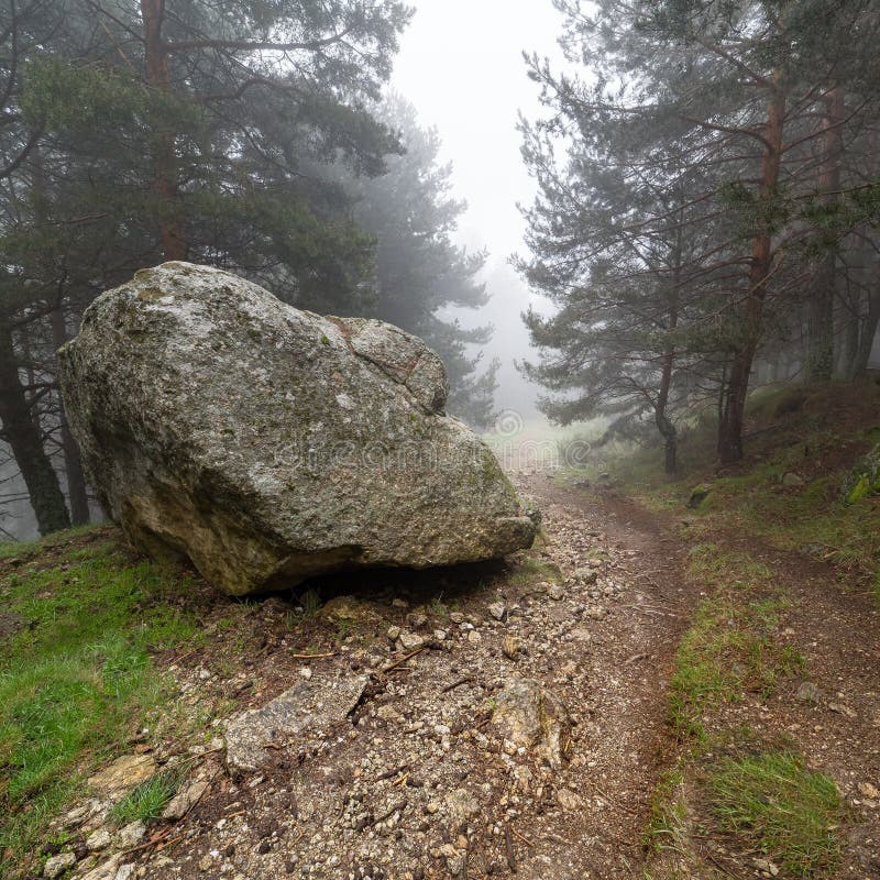 Large Rock in the Middle of a Path that Leads into the Forest with ...