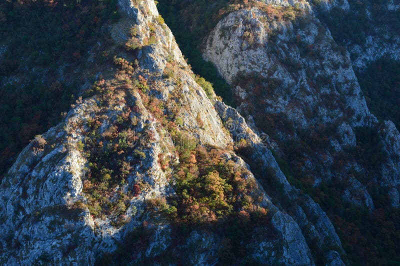Large Rock Overgrown with Plants Stock Image - Image of autumn, rock ...
