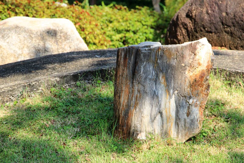 A Large Rock at a Park on the Green Lawn Stock Image - Image of ...