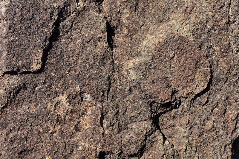 Large Rock Pattern Good for a Contrasting Textured Background Surface ...