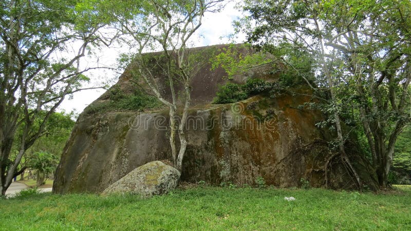 Large Rock Surrounded by Plants and Trees Stock Image - Image of ...