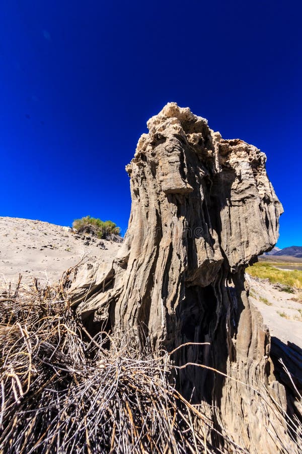 A Large Rock with a Tree Growing Out of it Stock Image - Image of ...