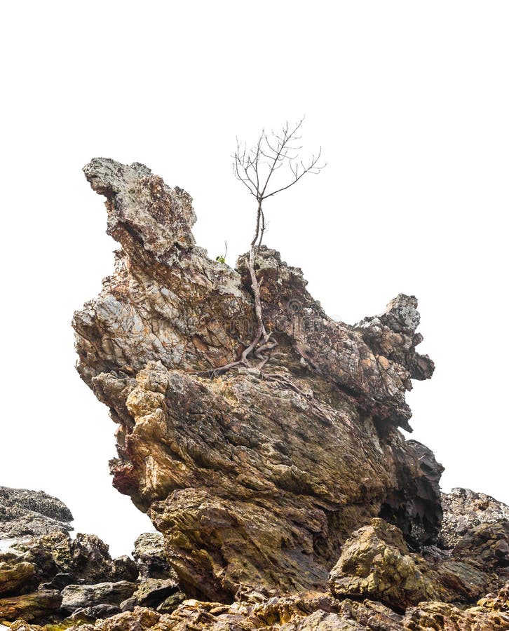The Large Rocks Beach Isolated on White Stock Image - Image of mineral ...