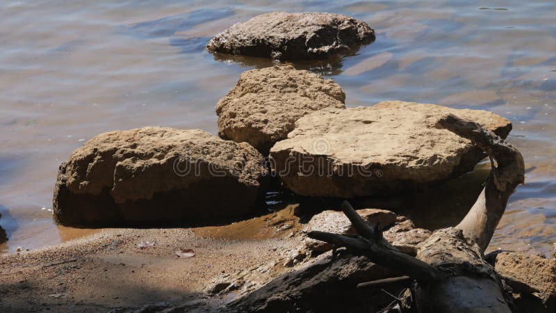 Large Rocks in Gentle Flowing Lake Water Stock Footage - Video of ...