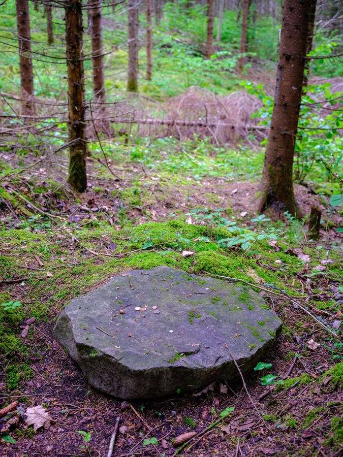 Large Rocks in Green Summer Forest Stock Image - Image of landscape ...