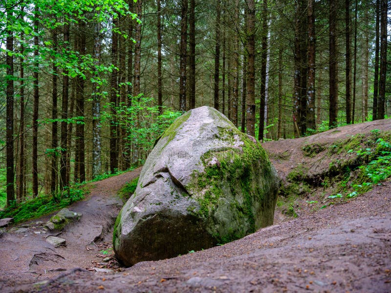 Large Rocks in Green Summer Forest Stock Photo - Image of green, jungle ...