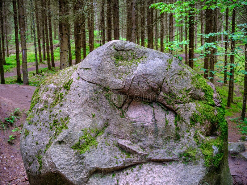 Large Rocks in Green Summer Forest Stock Photo - Image of deciduous ...