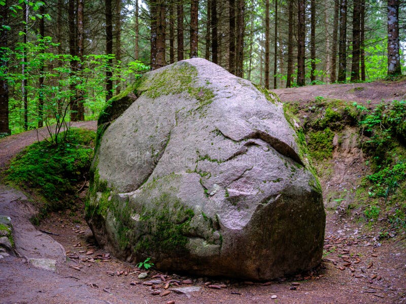 Large Rocks in Green Summer Forest Stock Photo - Image of forest ...