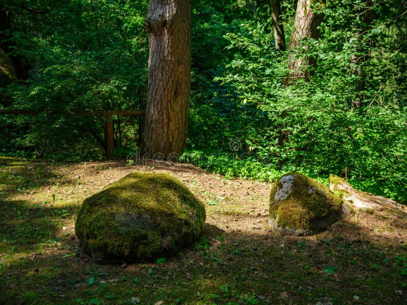 Large Rocks in Green Summer Forest Stock Image - Image of bedrock ...